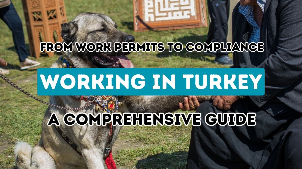 Your Complete Handbook on Employment in Turkey: Navigating Work ...